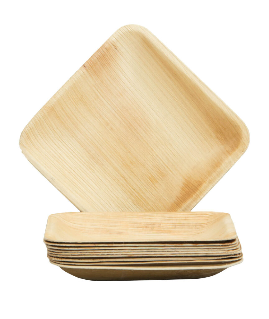 Eco-friendly disposable square areca plate (Pack of 50) – amnotplastic ...