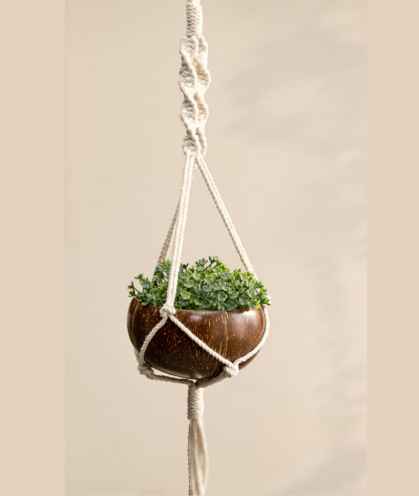 Eco-friendly coconut shell hanging plater – amnotplastic – amnotplastic