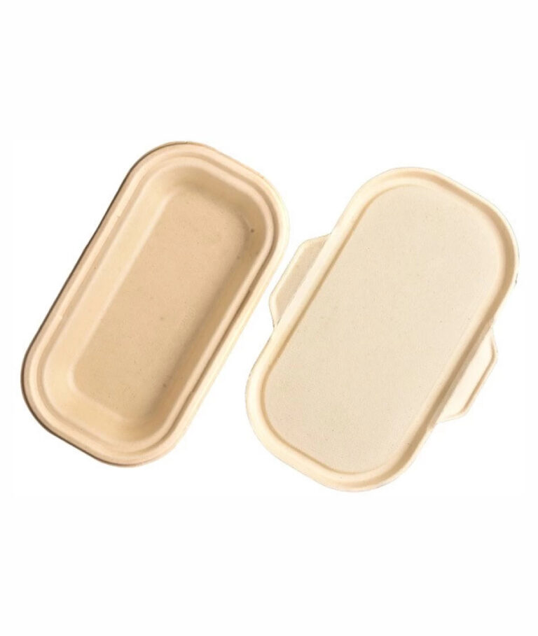 Eco-Friendly bagasse rectangular container 500ML (Pack of 50) – Amnotplastic – amnotplastic
