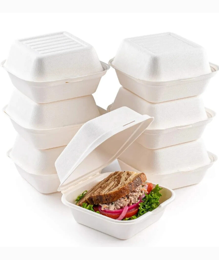 Eco-friendly sugarcane bagasse burger box white (Pack of 50 ...
